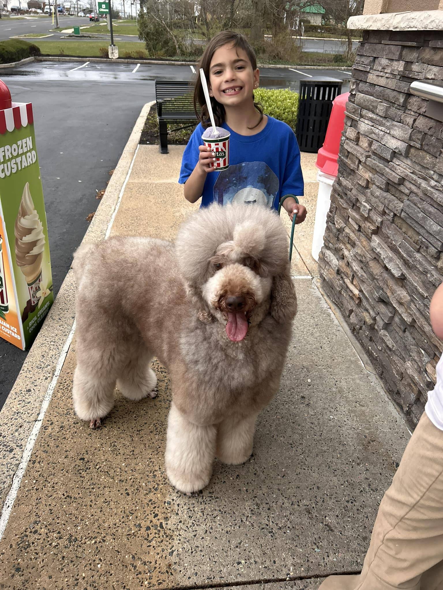 Dog, Cat, Rabbit & Bird Grooming | Kayla’s Pretty Paws LLC